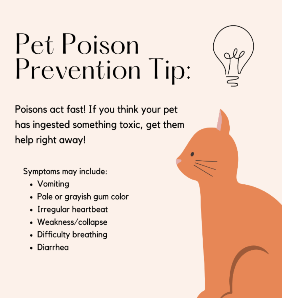 March: Pet Poison Awareness Month - Animal Works - Veterinary Surgery