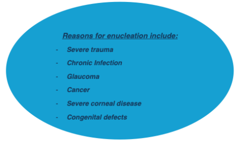 Enucleation - Animal Works - Veterinary Surgery